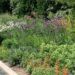 How To Build A Community Butterfly Garden | Gardens with Wings