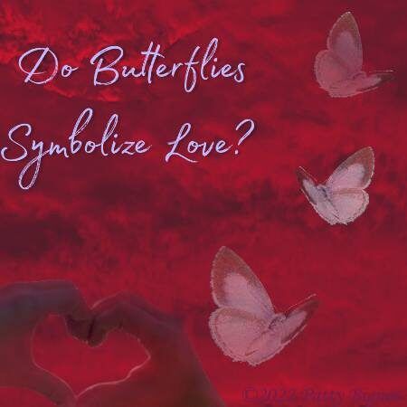 Do Butterflies Symbolize Love? | Gardens with Wings